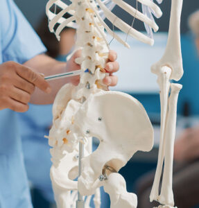 Our Technique - Athens Upper Cervical Chiropractic